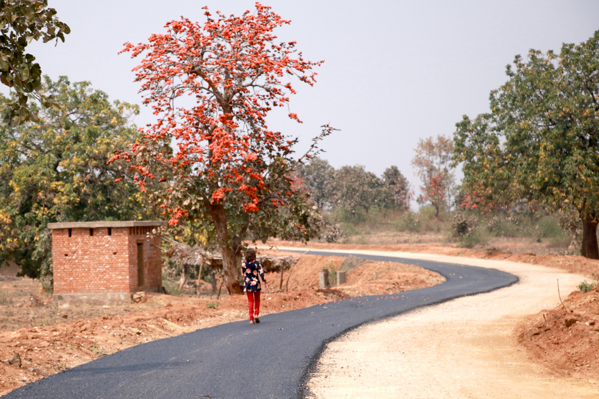 Prayas | YMC | NABARD | Badi Project of Sonbhadra – Rosehub